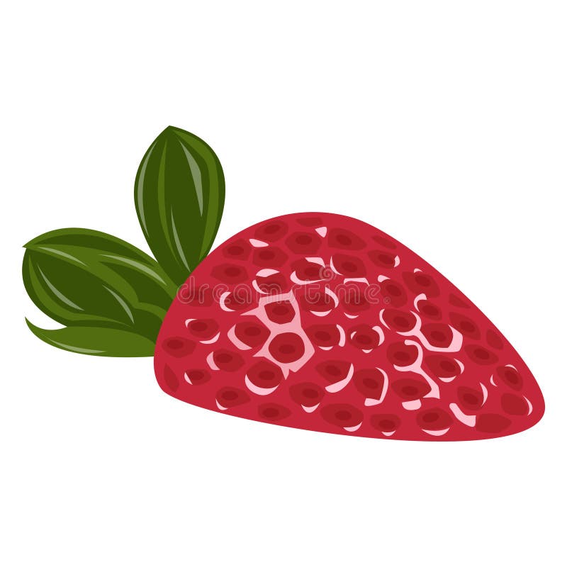 Vector Cut Strawberries that Look Fresh Stock Vector - Illustration of ...