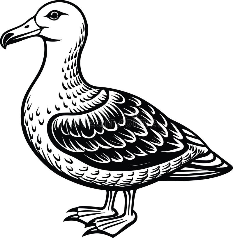 Vector cute albatross bird stock vector. Illustration of wild - 321069015