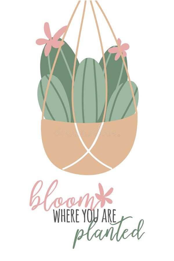 Vector Cute Cactus Isolated on a White Background with Calligraphy ...