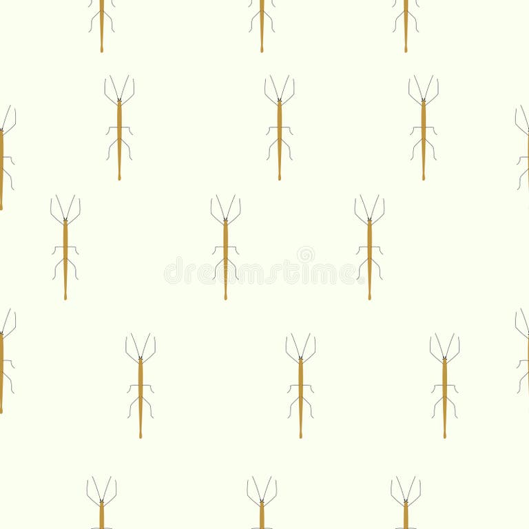 Vector Cute Cartoon Pattern Stick Insect Stock Vector - Illustration of ...