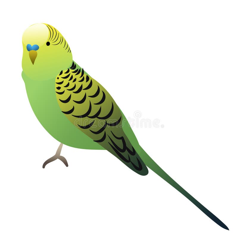 Parrot Green and Blue Gradient Blur Background. Bright Colors Gradiet ...