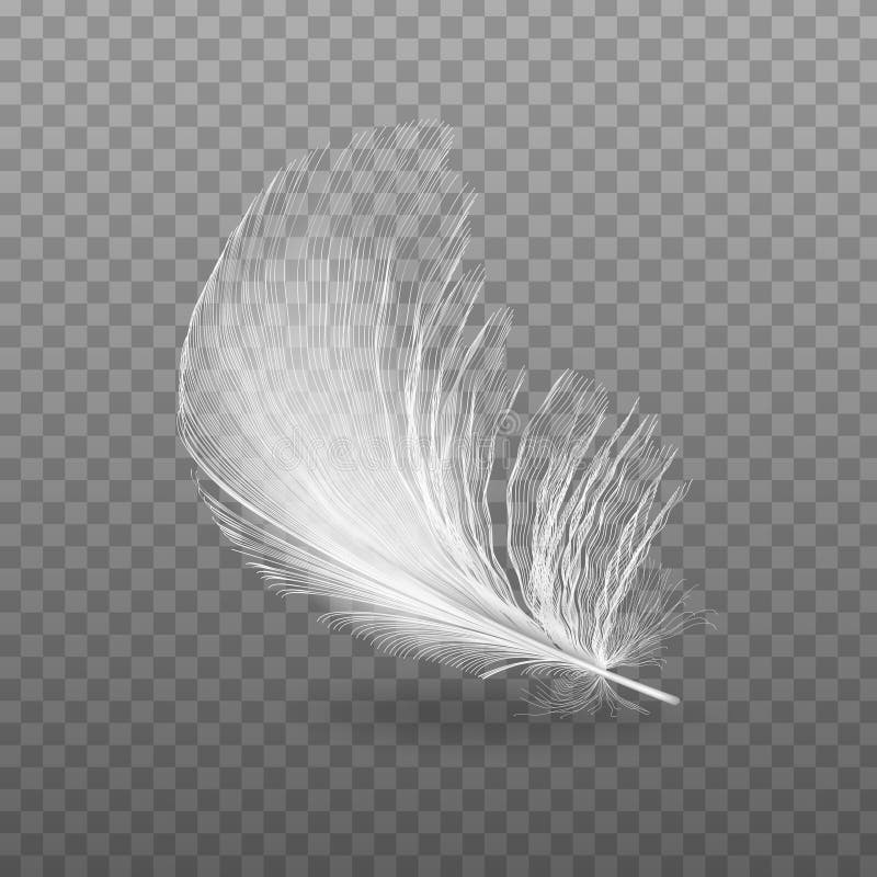 Vector 3d Realistic Falling Feather Closeup Isolated on Transparency ...