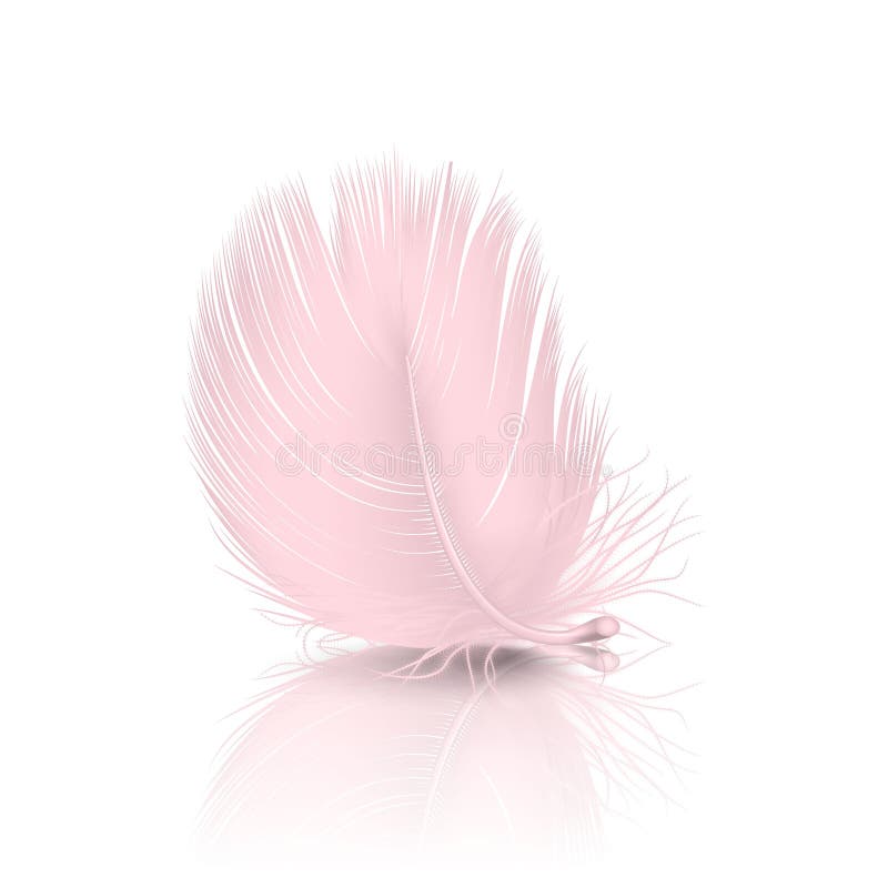 Pink Feather Transparent Background Stock Illustrations – 261 Pink ...