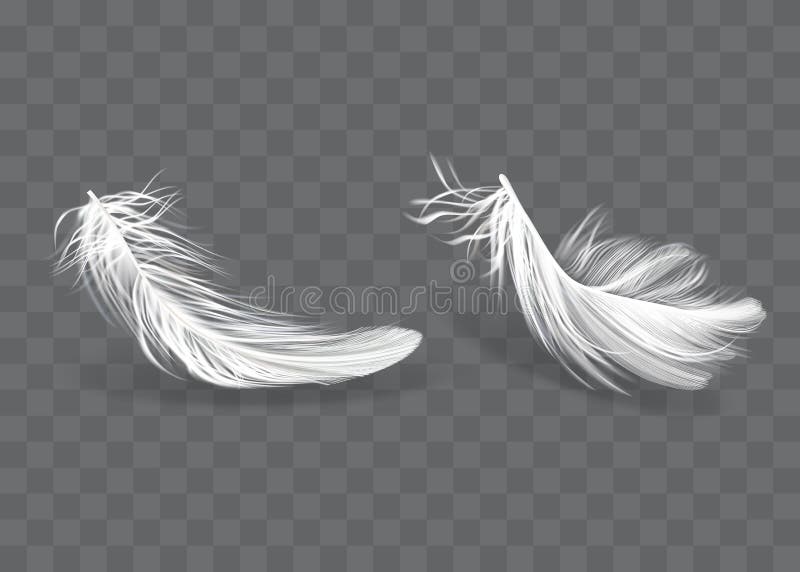 Vector 3d Realistic Various Falling White Fluffy Twisted Feather Set ...
