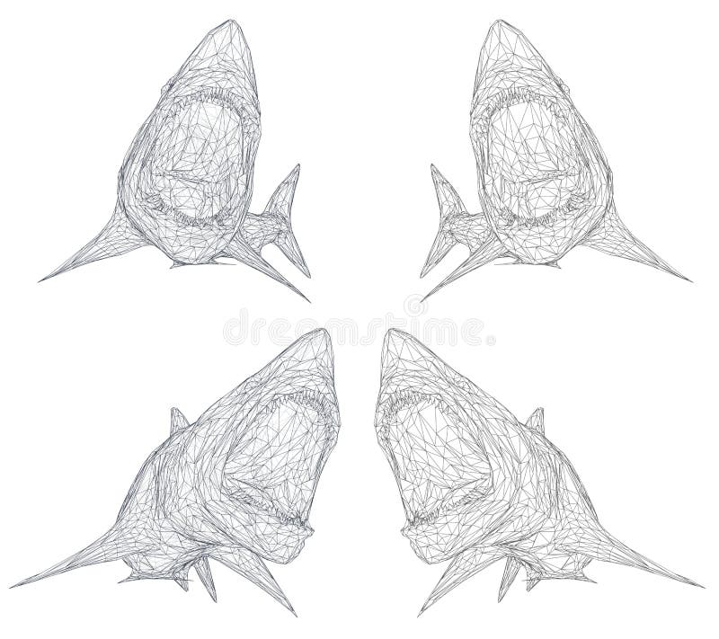 Vector 3d Shark from a Triangular Grid Stock Illustration ...