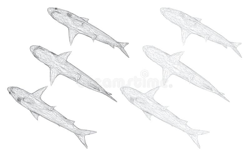 Vector 3d Shark from a Triangular Grid. Stock Vector - Illustration of ...