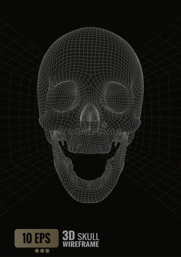 3D Wireframe Skull Front View on Dark BG Stock Vector - Illustration of ...