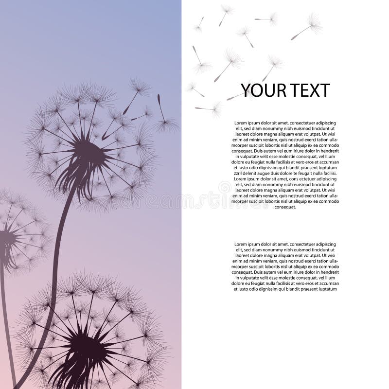 Vector Dandelion Flower Background for Banner. Stock Vector ...