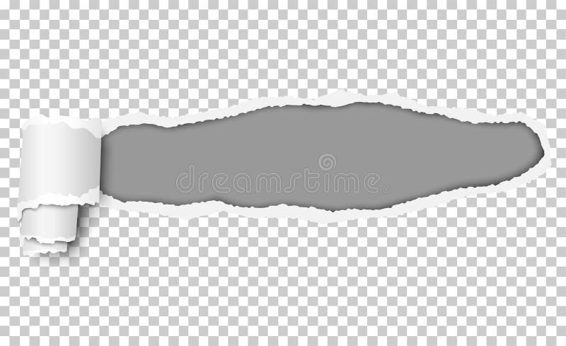 Shred Edges Stock Illustrations – 265 Shred Edges Stock Illustrations ...