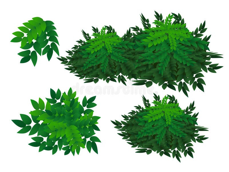 Vector De Arbusto Verde Sobre Fondo Blanco . Ilustración del Vector ...