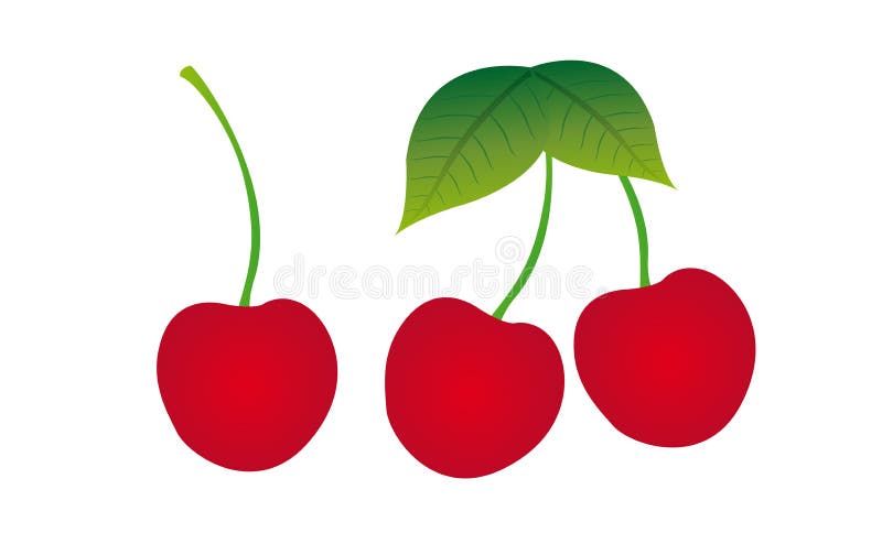 Vector de la cereza ilustración del vector. Ilustración de verde - 20585558