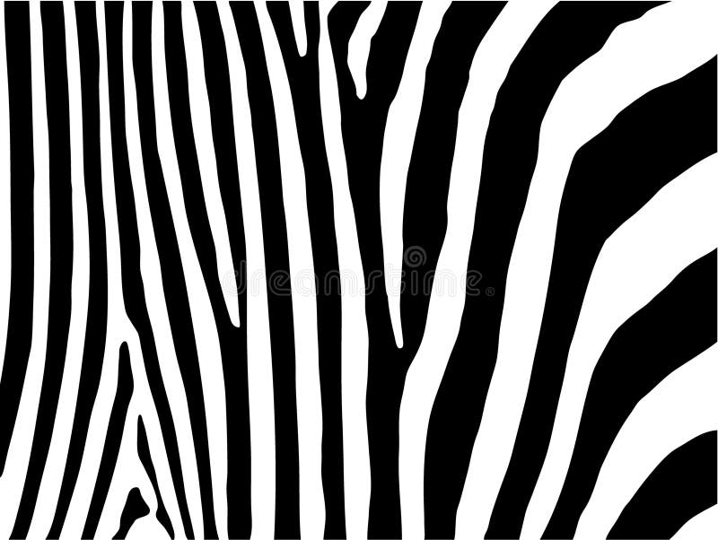 La Cebra Raya El Modelo Estampado De Zebra, Piel Animal, Rayas Del ...