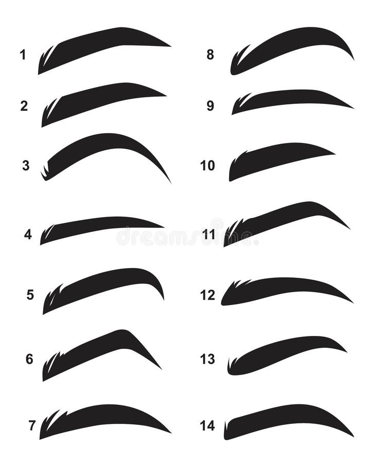 Vector De Las Cejas De La Forma Ilustración del Vector - Ilustración de ...