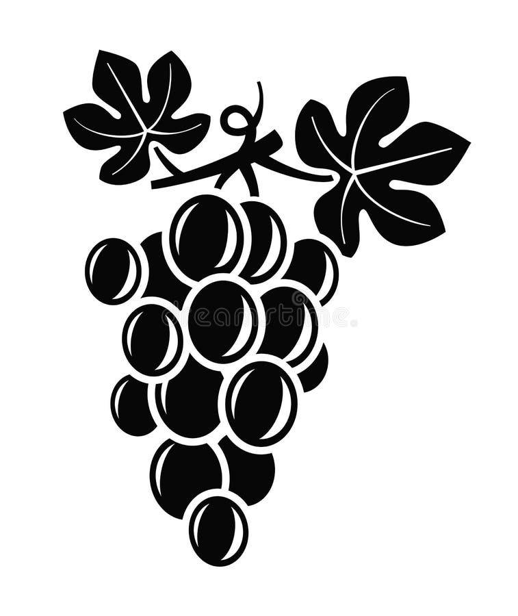 Vector de las uvas ilustración del vector. Ilustración de cosecha ...