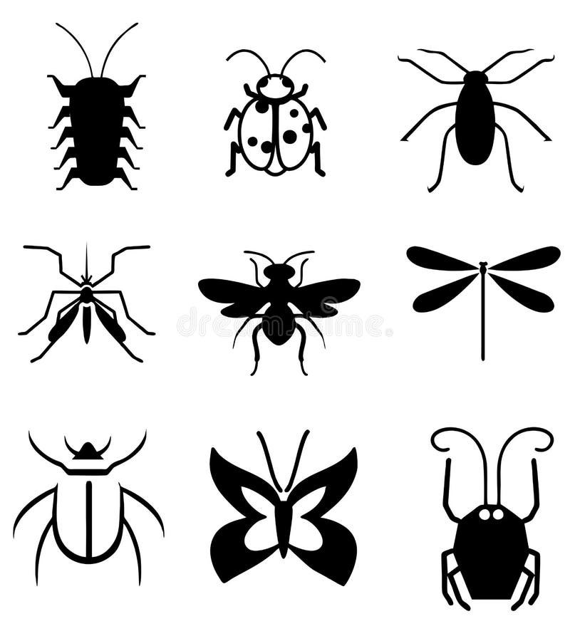 Vector de los insectos ilustración del vector. Ilustración de antena ...
