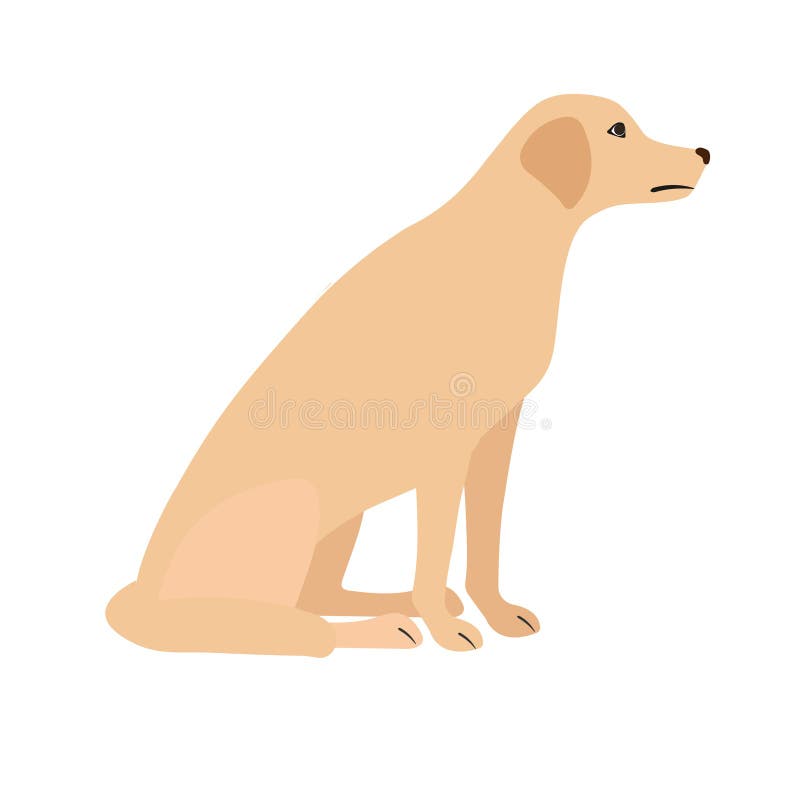 Vector De Mano Plana Sentado Perro Labrador Ilustración del Vector ...
