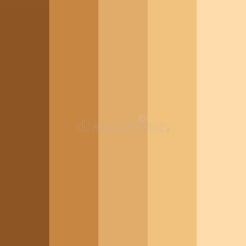 Color Del Icono Del Tono De Piel Vector Ilustración Del Vector