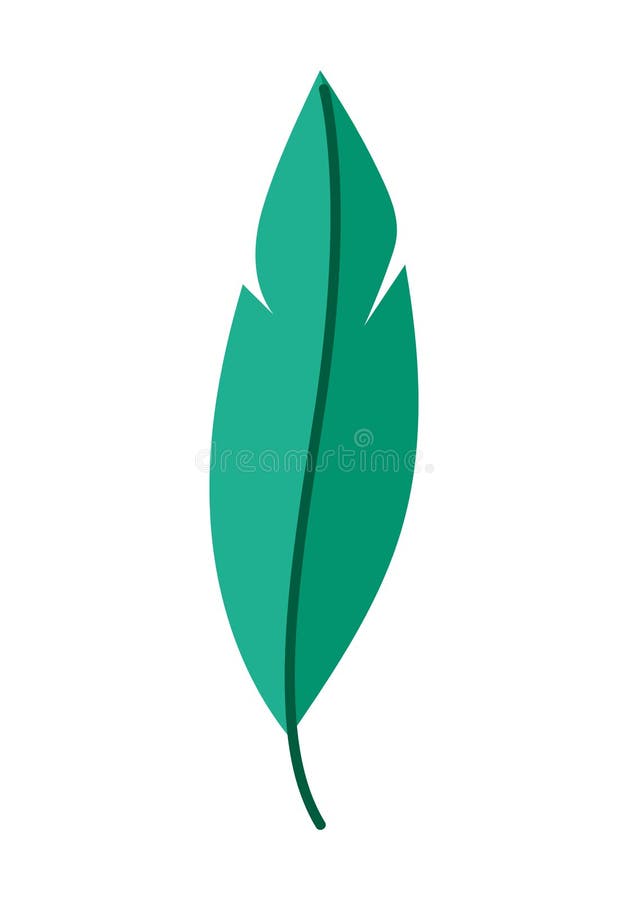 Vector de plumas verdes ilustración del vector. Ilustración de arte ...