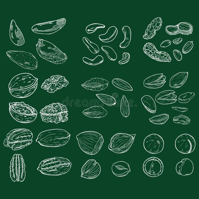 Vector De Reeks Van De Schets Van De Schets Van De Schets Vector ...