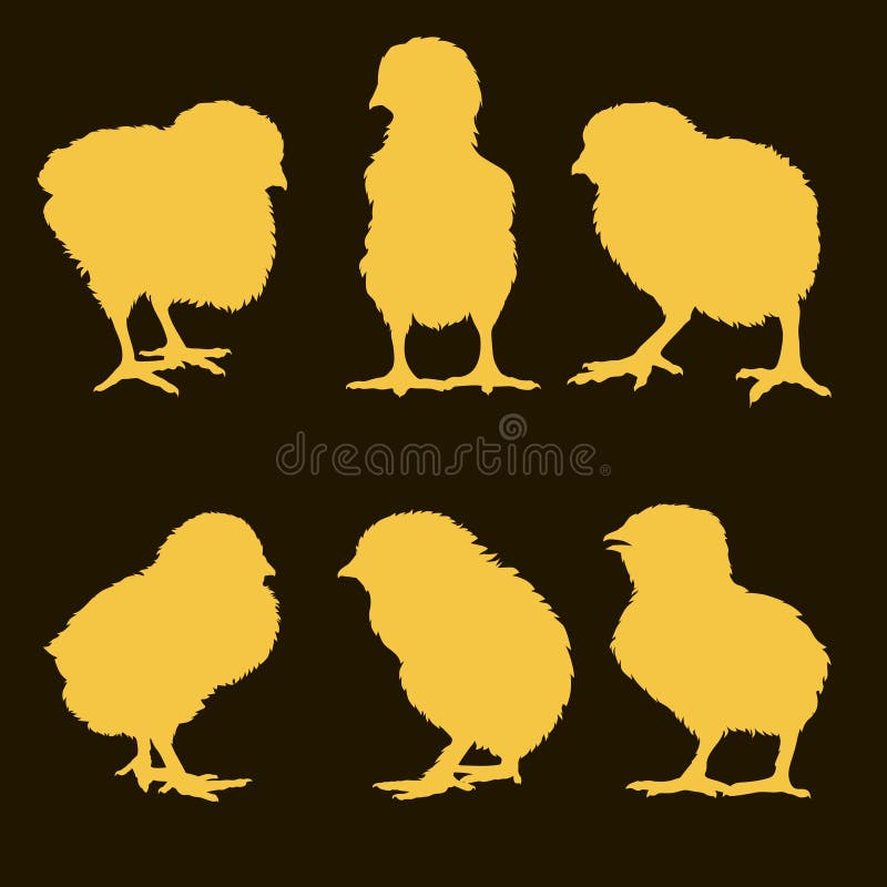 Vector De Siluetas De Pollo Ilustración del Vector - Ilustración de ...