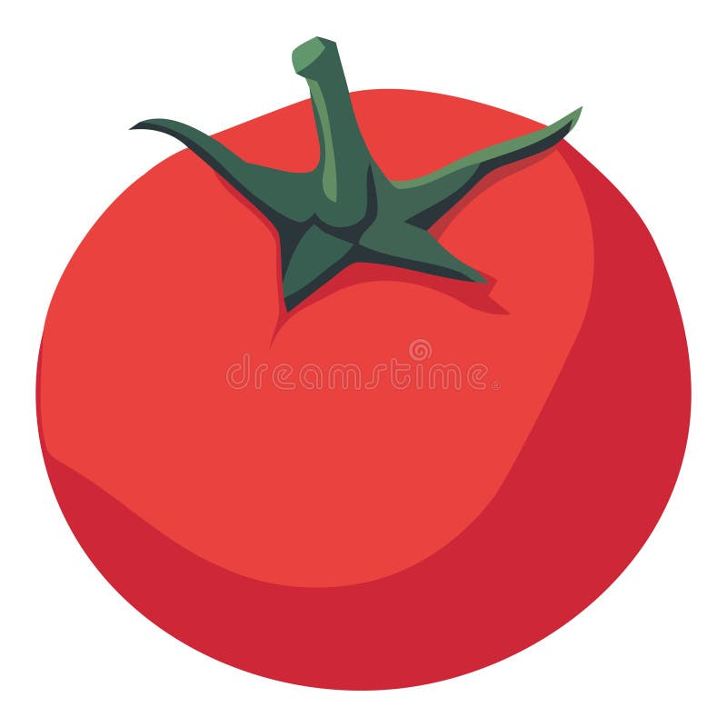 Vector de tomate fresco ilustración del vector. Ilustración de vector ...