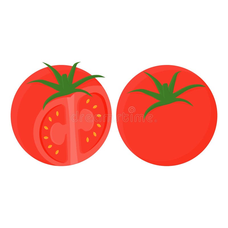 Vector De Tomate Rojo Fresco Ilustración del Vector - Ilustración de ...