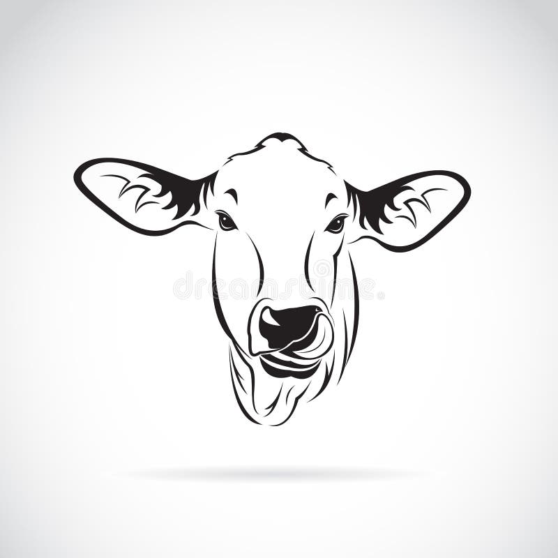 Vector De Una Cabeza De La Vaca En El Fondo Blanco Ilustración del ...