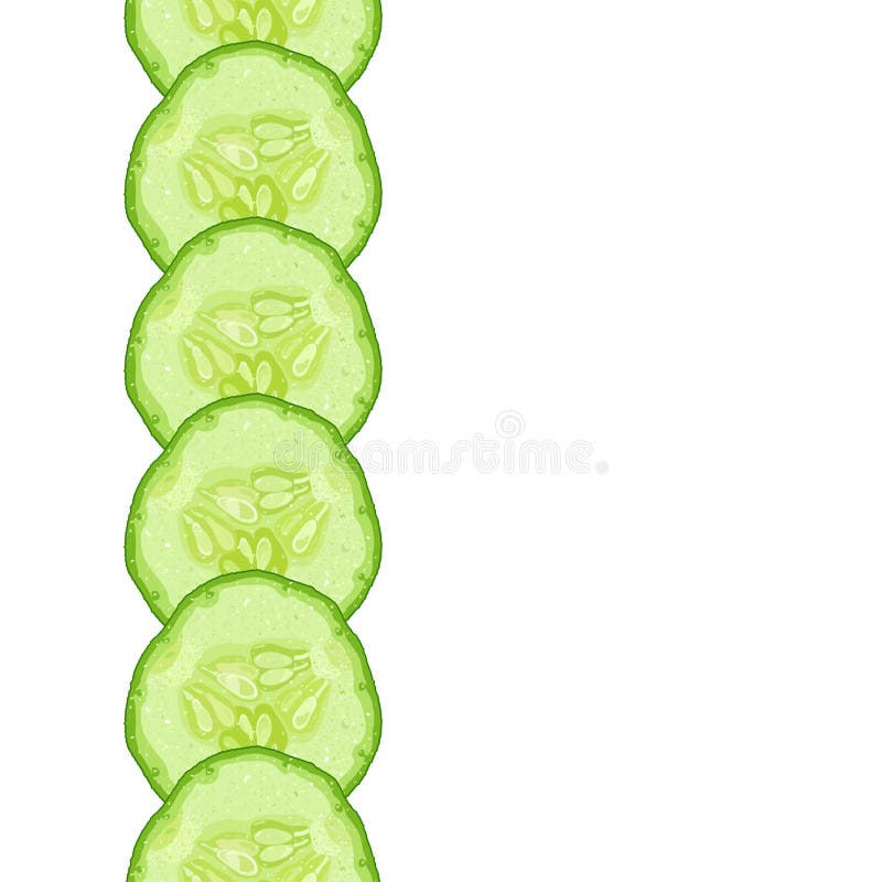 Vector Decorative Border of Cucumber Slice on White Background Stock ...