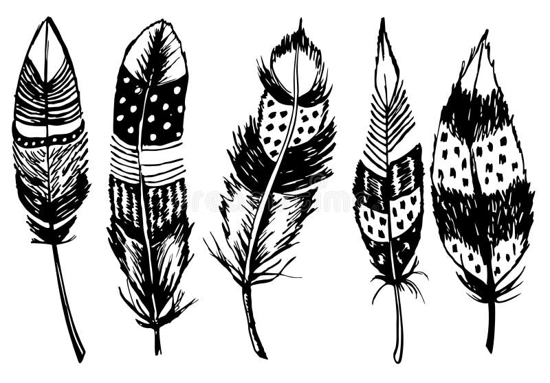 Vector Decorative Feather, Tribal Design, Tattoo. Artistically Drawn ...