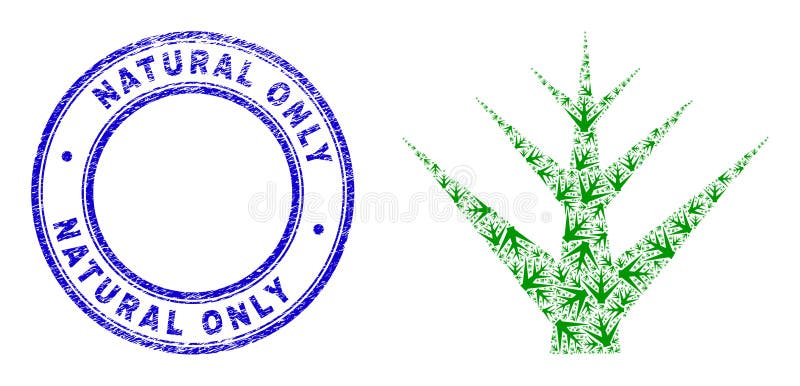 Tree Watermark Stock Illustrations – 1,104 Tree Watermark Stock ...
