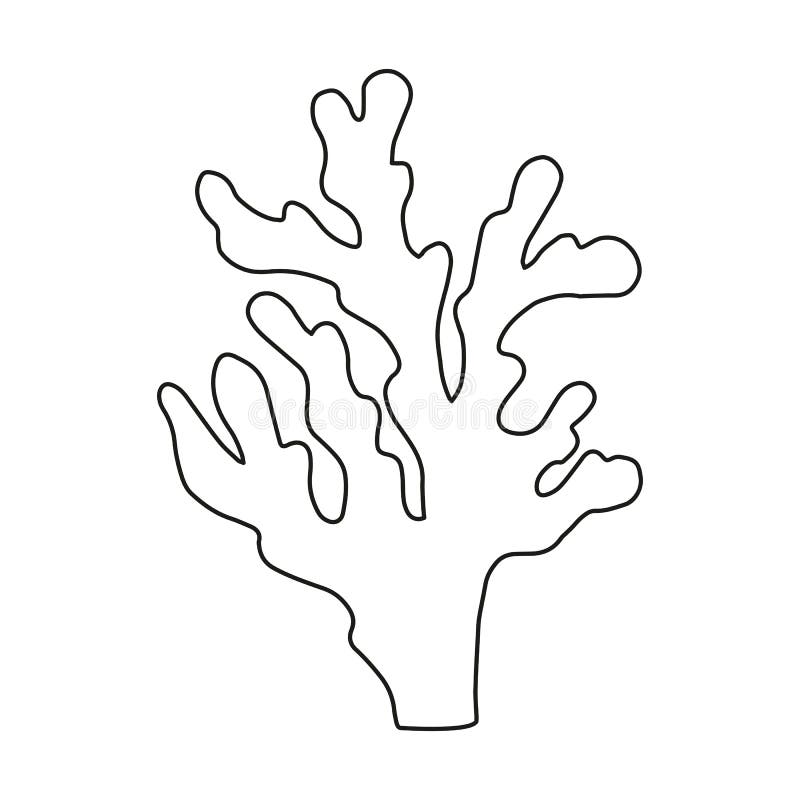 Desenho De Algas Marinhas Para Colorir Tudodesenhos Sketch Coloring Page