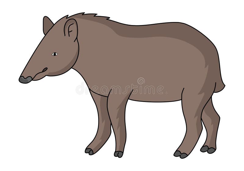 Tapir Ilustraciones Stock, Vectores, Y Clipart – (1,544 Ilustraciones ...