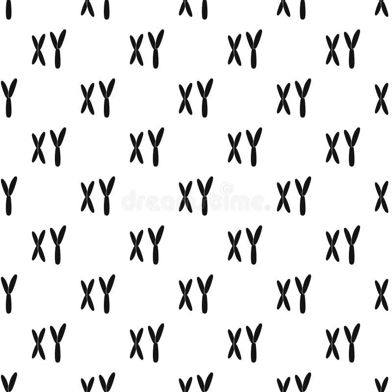 Vector Del Modelo De Los Cromosomas Humanos Ilustración del Vector ...