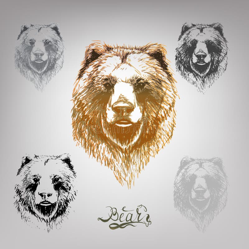 Vector Del Oso Del Vector Del Oso Ilustración del Vector - Ilustración ...