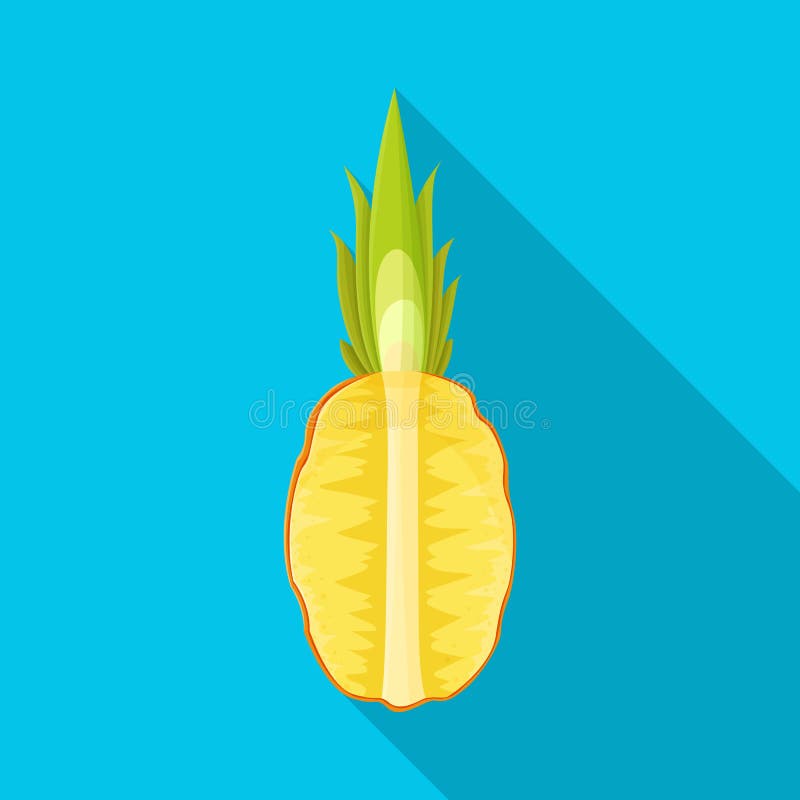 Vector Design of Ananas and Sliced Logo. Web Element of Ananas and ...