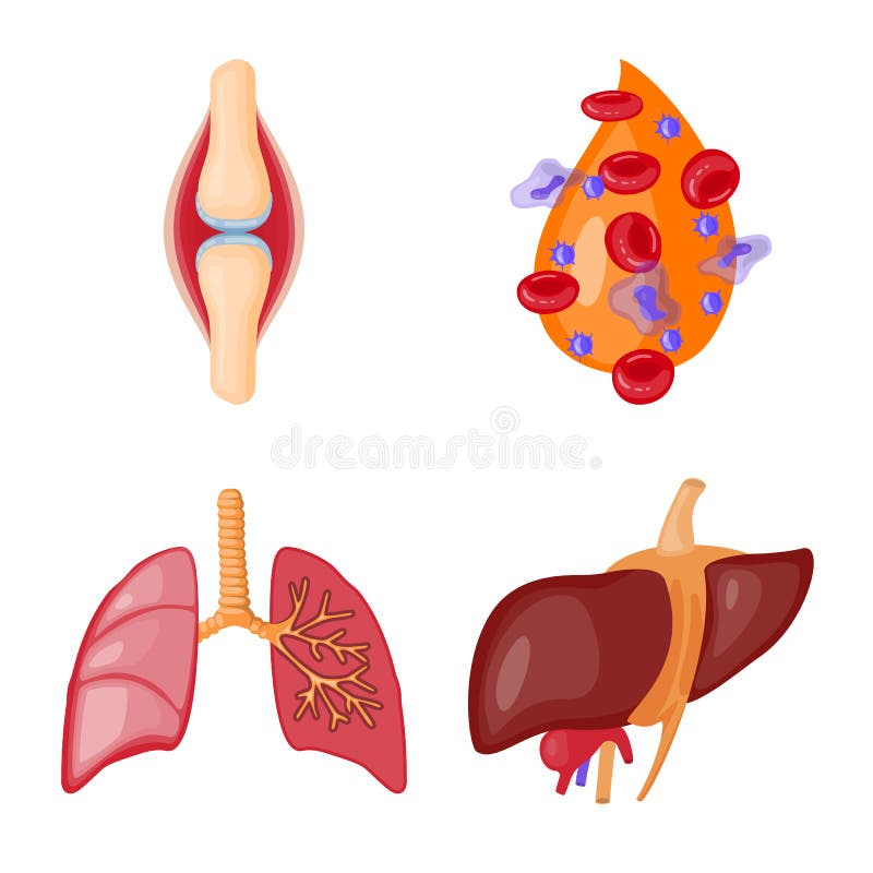 Isolated Object of Anatomy and Organ Logo. Collection of Anatomy and ... Isolated Object of Anatomy and Organ Logo. Collection of Anatomy and ...