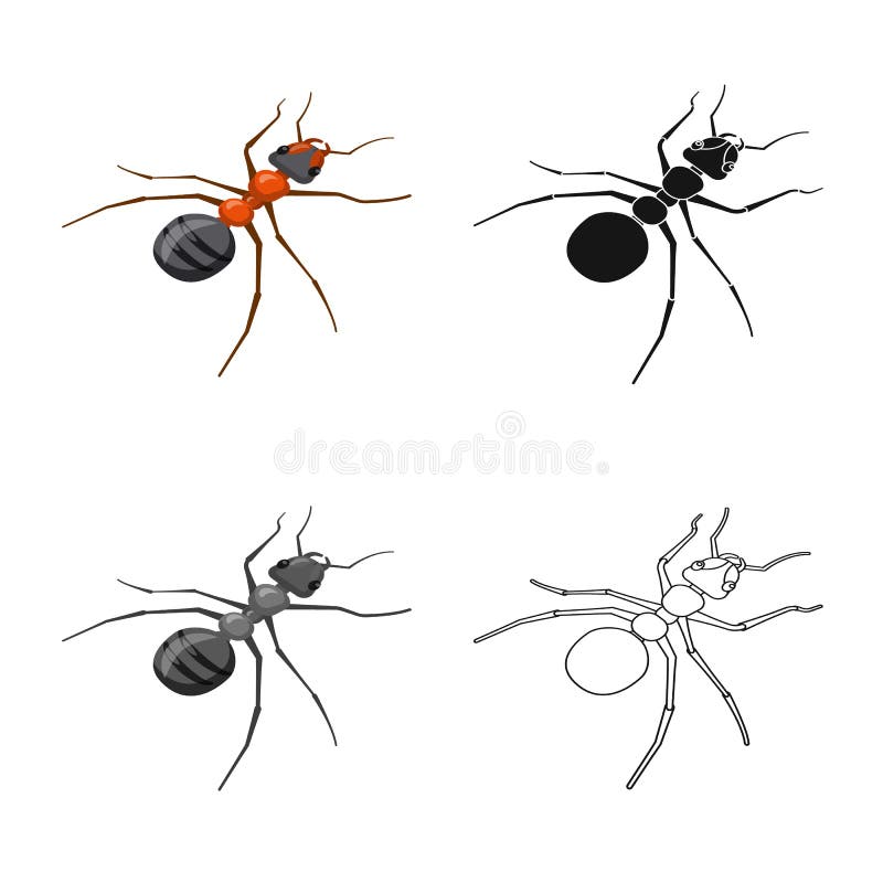 Isolated Object of Ant and Wild Logo. Collection of Ant and Cute Stock ...