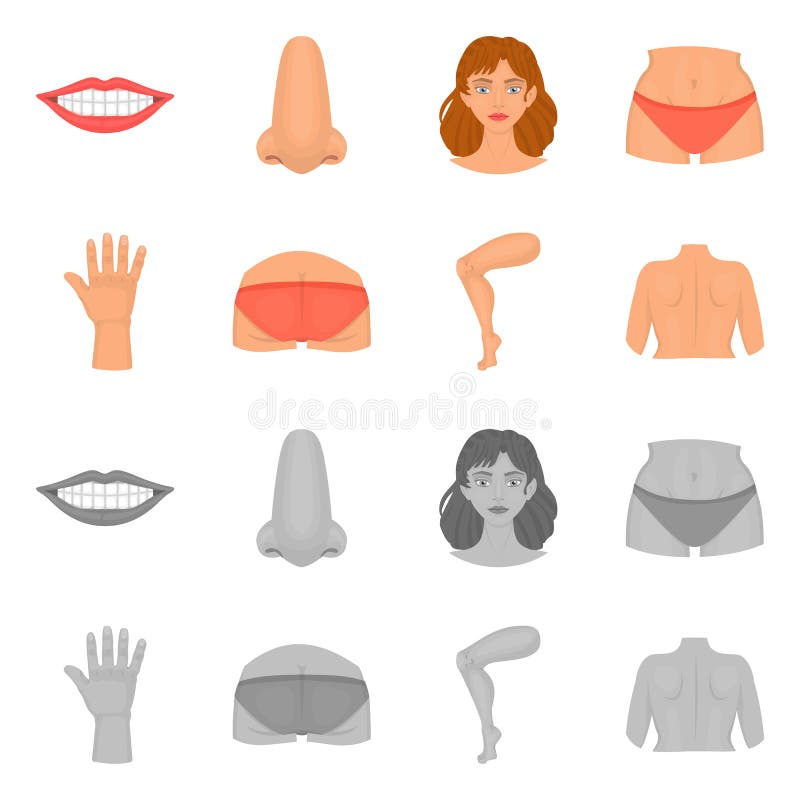 Isolated Object of Body and Part Symbol. Collection of Body and Anatomy ... Isolated Object of Body and Part Symbol. Collection of Body and Anatomy ...