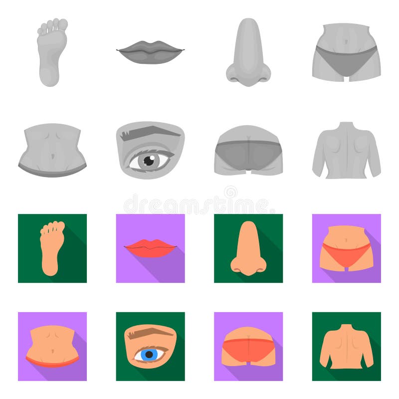 Vector Design of Body and Part Sign. Set of Body and Anatomy Stock ... Vector Design of Body and Part Sign. Set of Body and Anatomy Stock ...