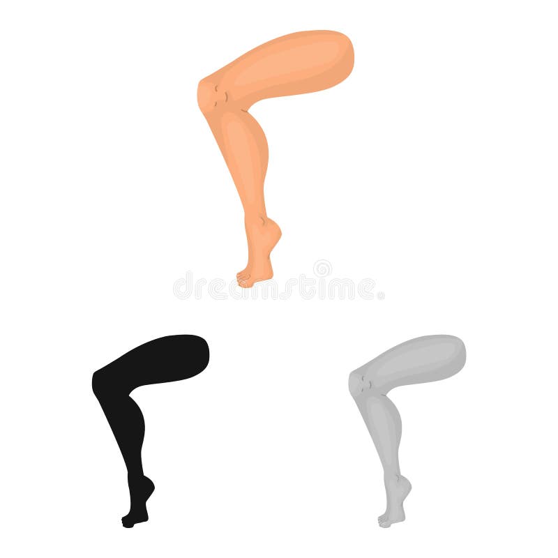 Isolated Object of Body and Part Icon. Collection of Body and Anatomy ... Isolated Object of Body and Part Icon. Collection of Body and Anatomy ...