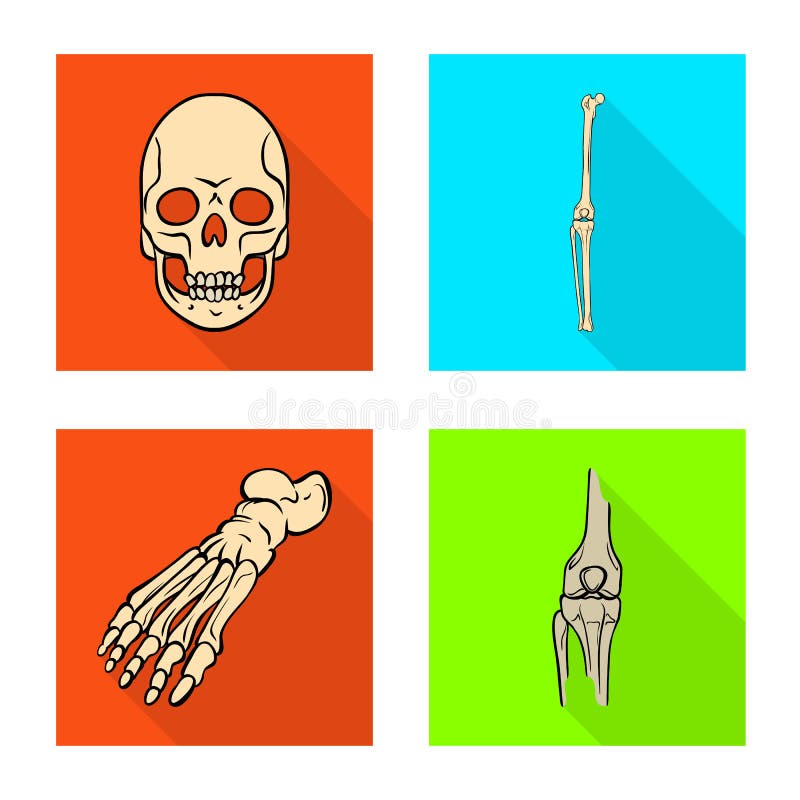 Vector Design of Bone and Skeleton Icon. Collection of Bone and Human ...