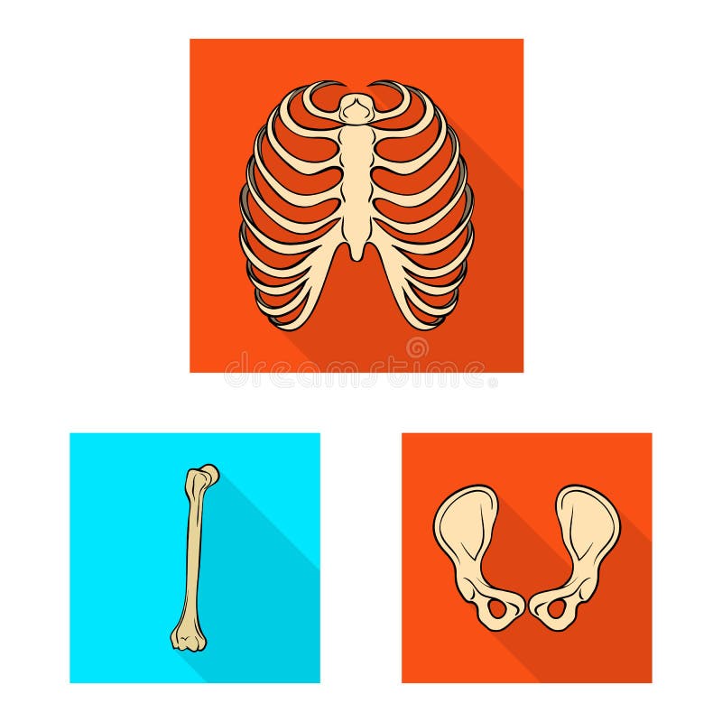 Isolated Object of Bone and Skeleton Logo. Collection of Bone and Human ...