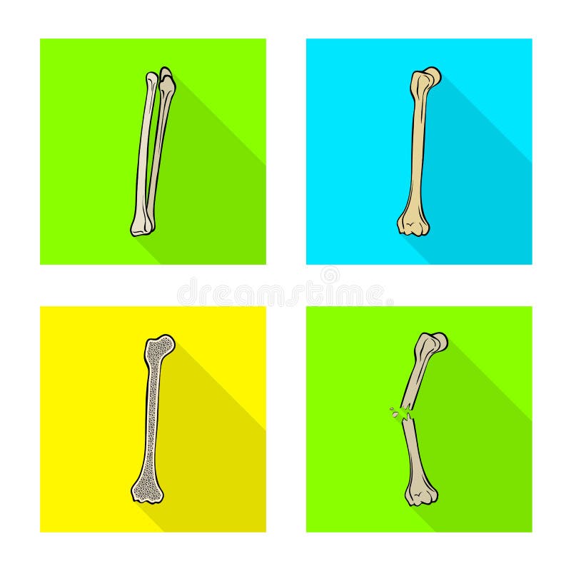 Bone Alignment Stock Illustrations – 689 Bone Alignment Stock ...
