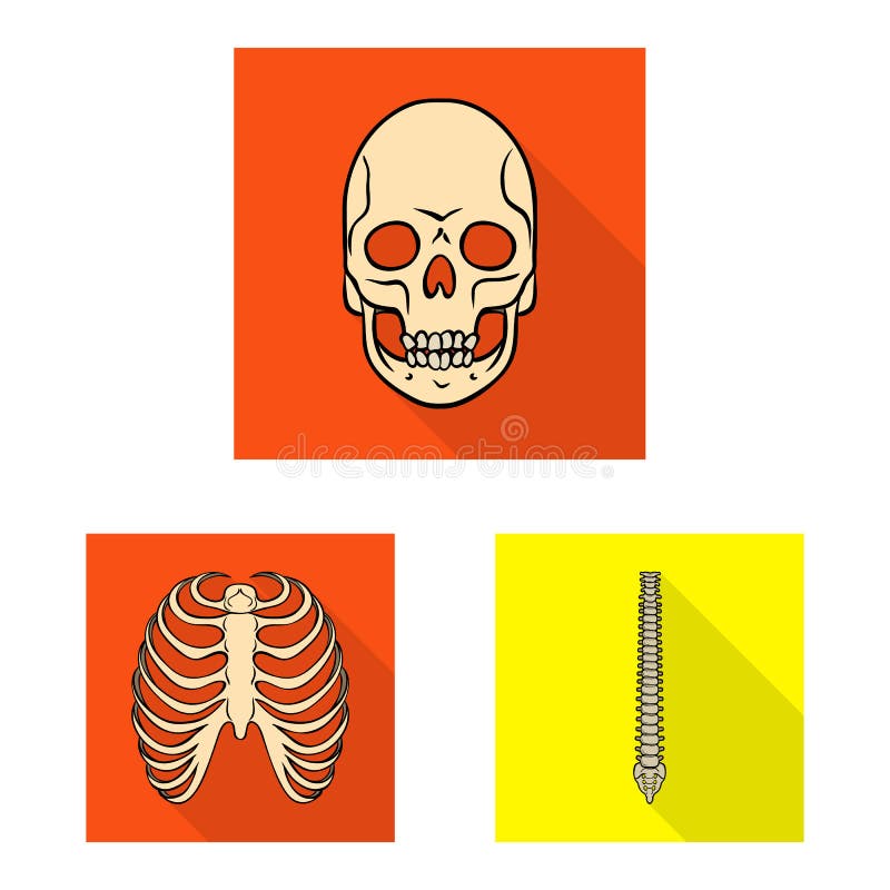Isolated Object of Bone and Skeleton Symbol. Collection of Bone and ...