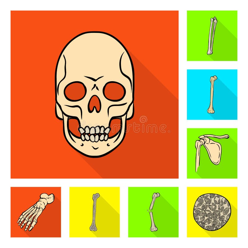 Vector Design of Bone and Skeleton Symbol. Collection of Bone and Human ...
