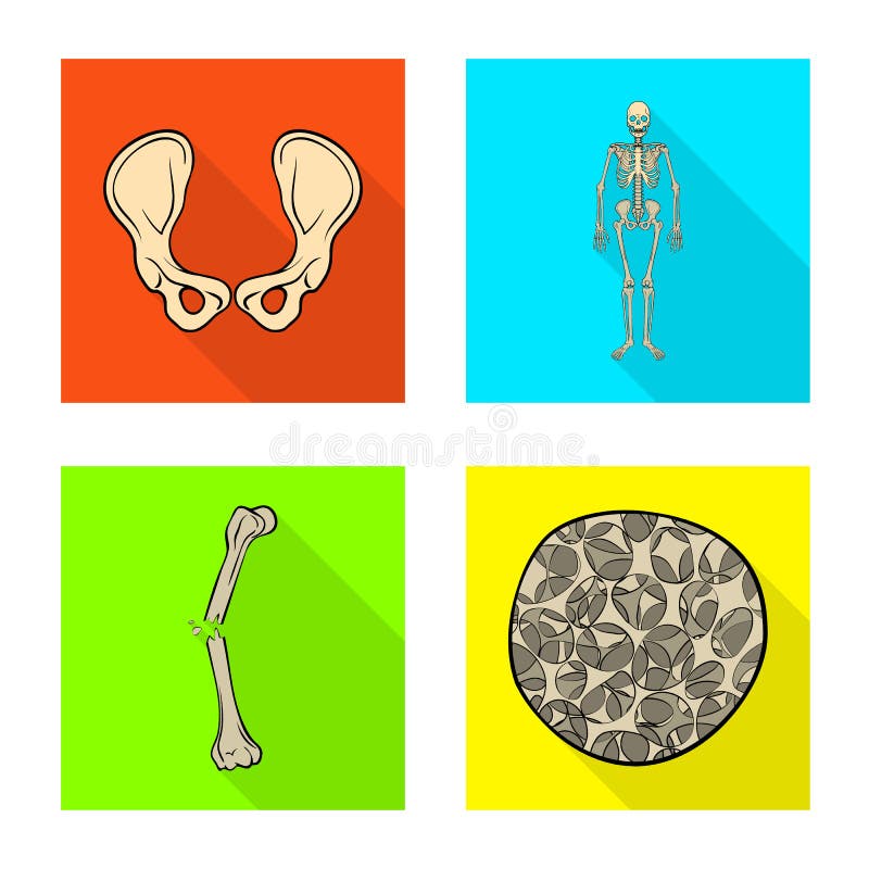 Vector Design of Bone and Skeleton Symbol. Collection of Bone and Human ...