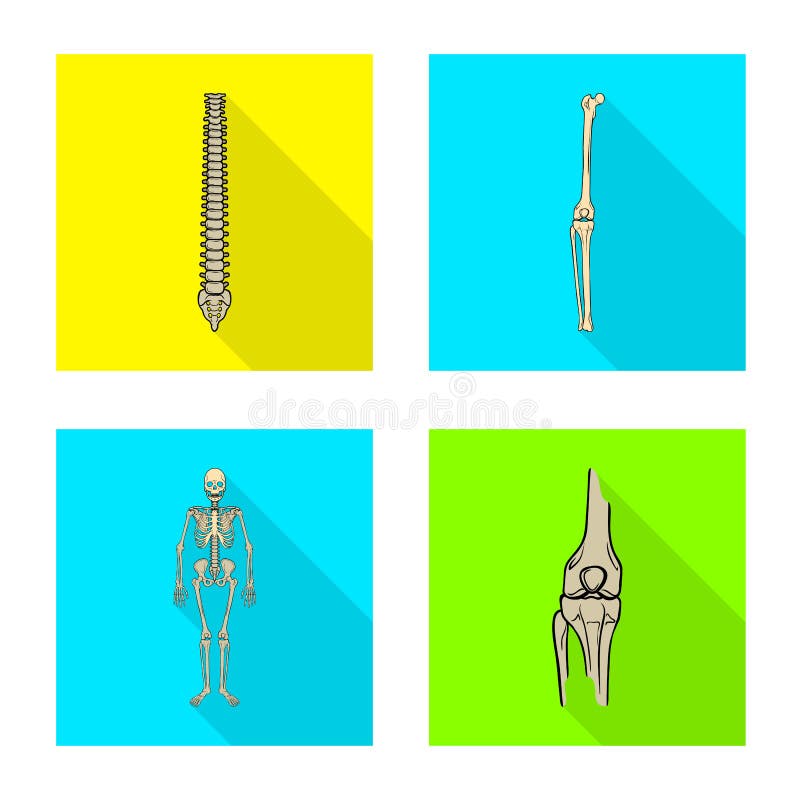 Isolated Object of Bone and Skeleton Icon. Collection of Bone and Human ...