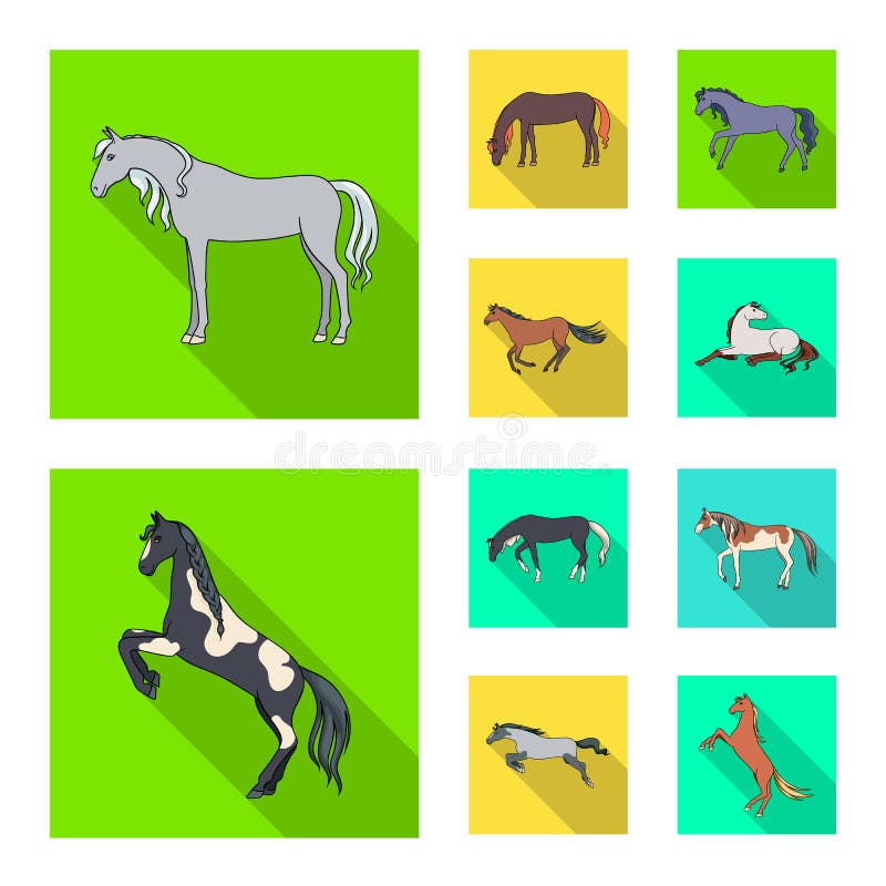 Isolated Object of Breed and Equestrian Logo. Set of Breed and Mare ...