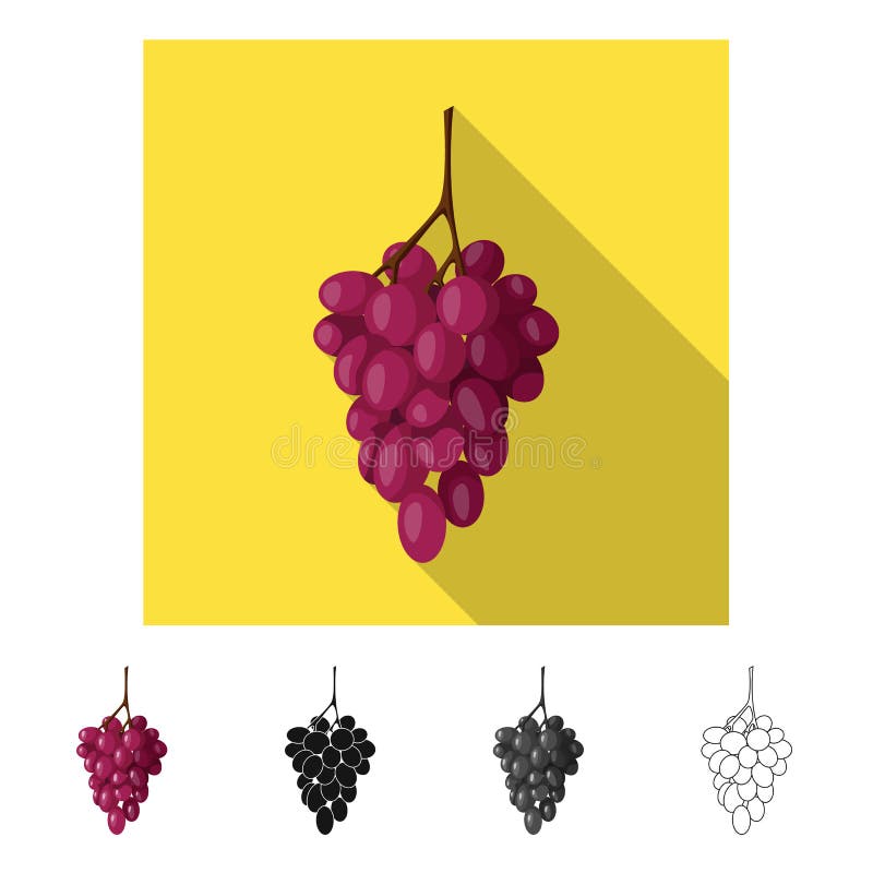 Vector Design of Bunch and Grape Icon. Collection of Bunch and Wine ...