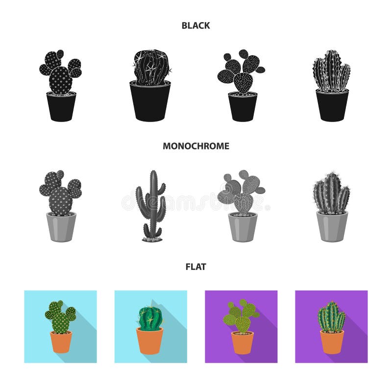Vector Design of Cactus and Pot Icon. Set of Cactus and Cacti Stock ...